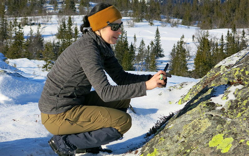 Picture perfect: making the most of images when creating and sharing ...